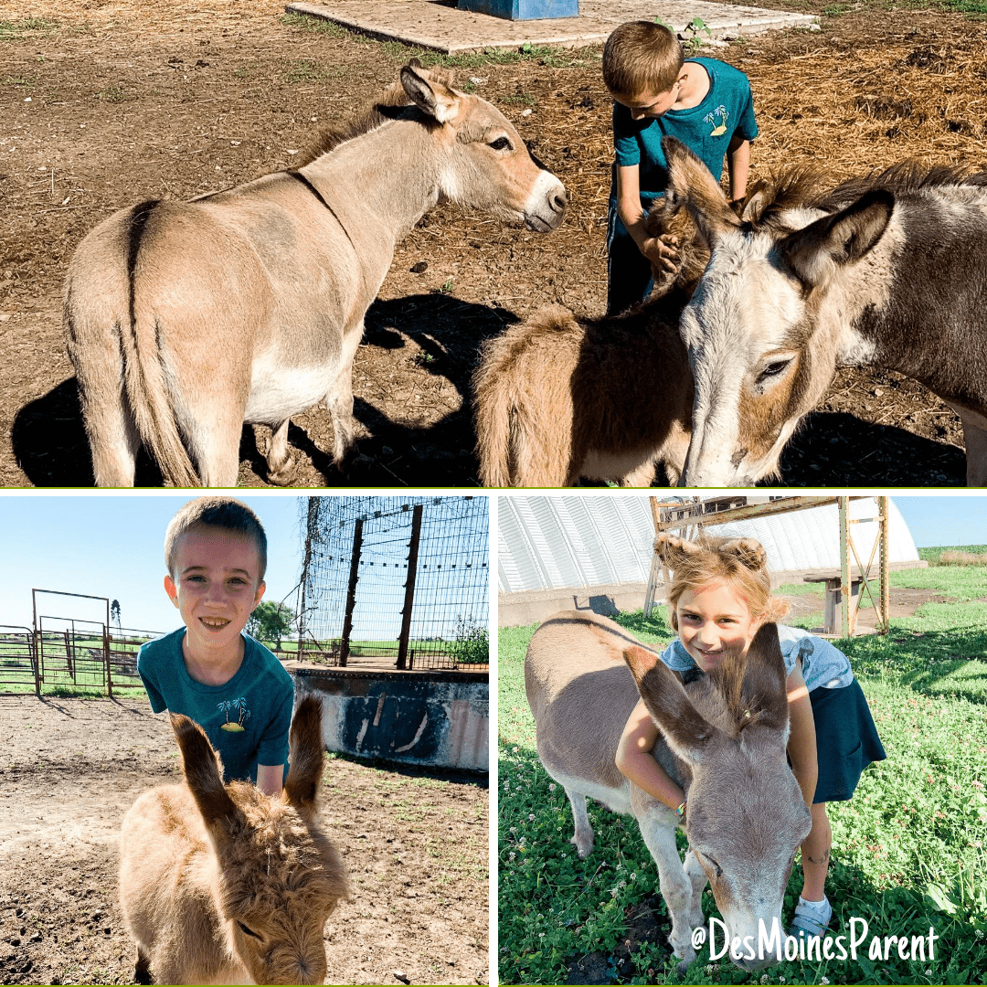 Fun Places to See Animals in the Des Moines Area - Des Moines Parent