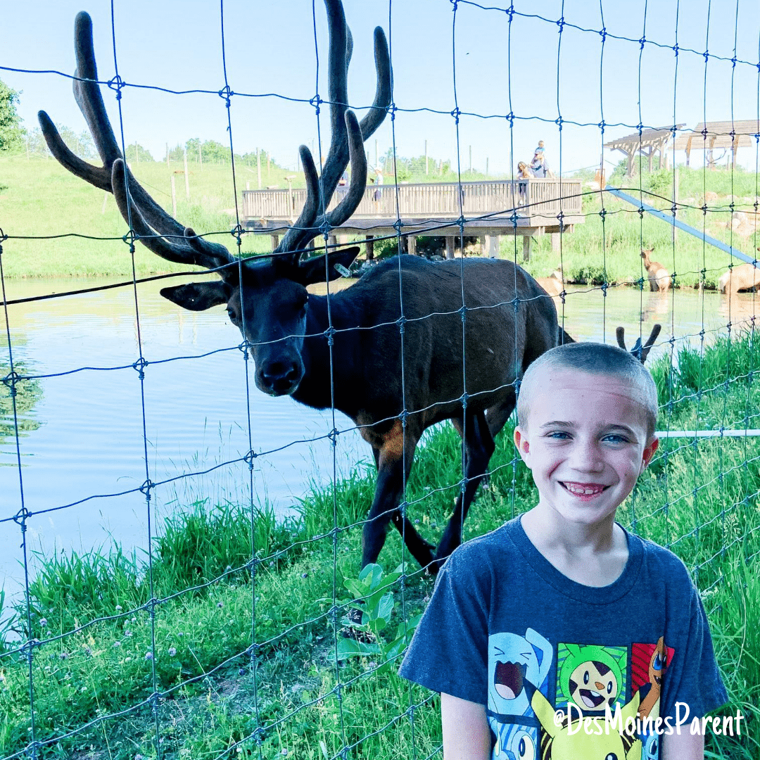 Fun Places to See Animals in the Des Moines Area - Des Moines Parent
